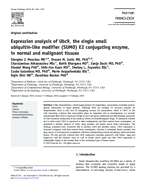 (PDF) Expression analysis of Ubc9, the single small ubiquitin-like ...