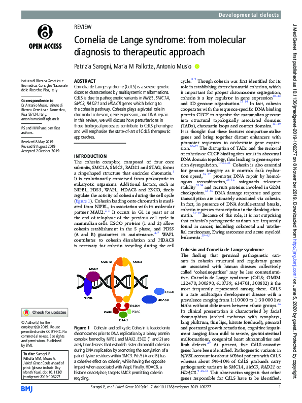 (PDF) Cornelia de Lange syndrome: from molecular diagnosis to therapeutic approach