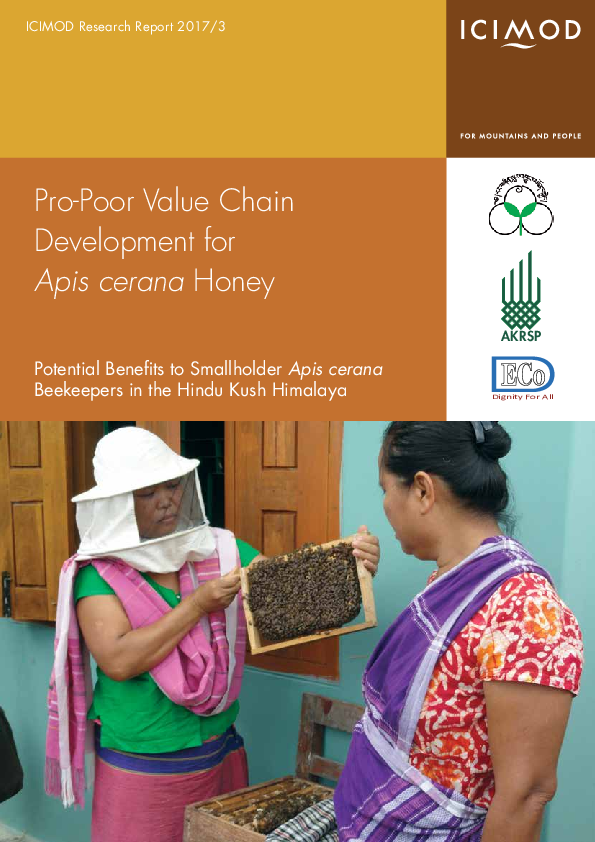 (PDF) Pro-Poor Value Chain Development for Apis