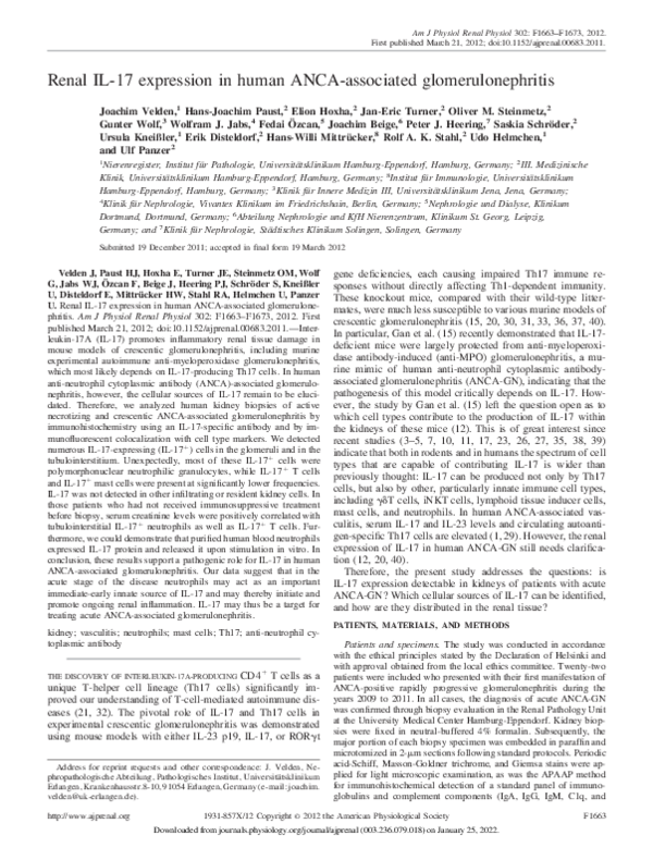 (PDF) Renal IL-17 expression in human ANCA-associated ...