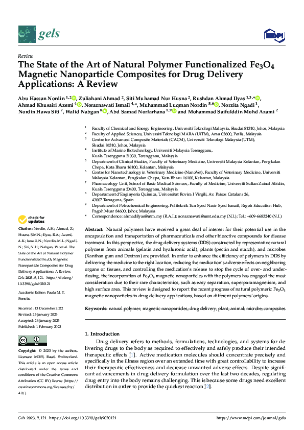 (PDF) The State of the Art of Natural Polymer Functionalized Fe3O4 ...