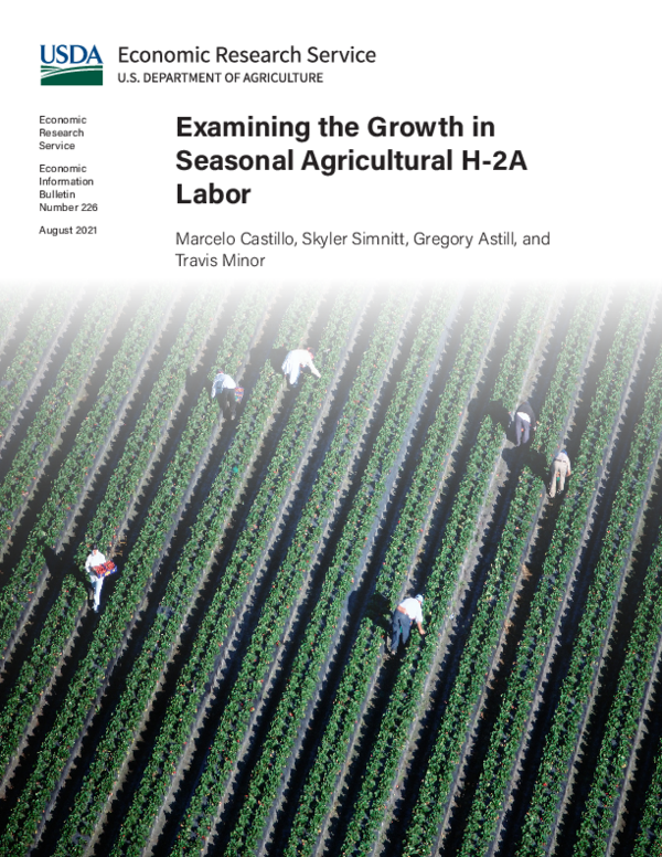 (PDF) Examining the Growth in Seasonal Agricultural H-2A Labor