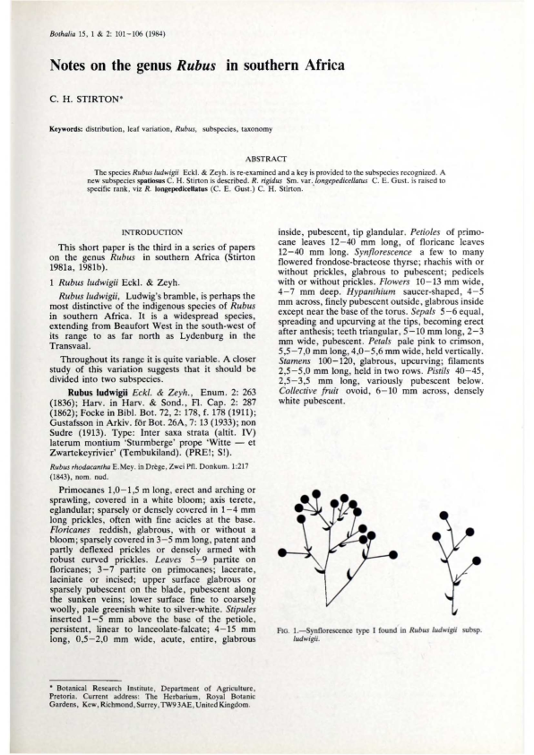 (PDF) Notes on the genus Rubus in southern Africa