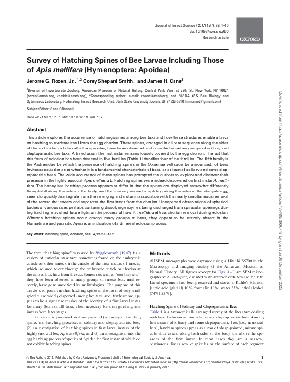 (PDF) Survey of Hatching Spines of Bee Larvae Including Those of Apis ...