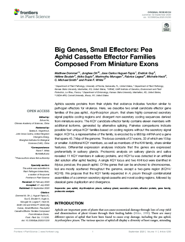 (PDF) Big Genes, Small Effectors: Pea Aphid Cassette Effector Families ...
