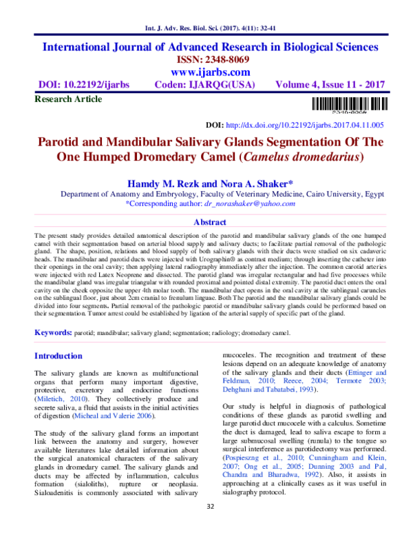 (PDF) Parotid and Mandibular Salivary Glands Segmentation Of The One ...