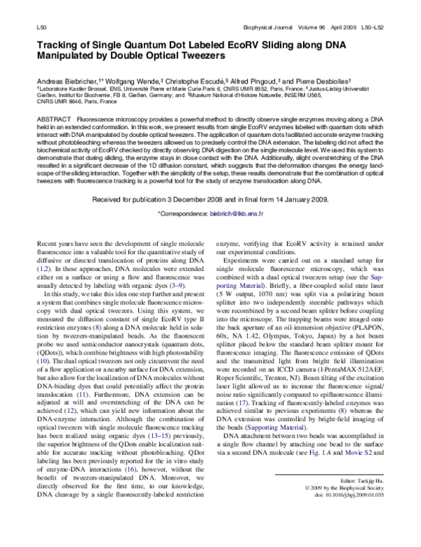 (PDF) Tracking of Single Quantum Dot Labeled EcoRV Sliding along DNA Manipulated by Double ...
