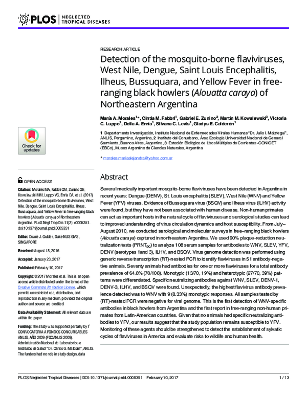 (PDF) Detection of the mosquito-borne flaviviruses, West Nile, Dengue, Saint Louis Encephalitis ...