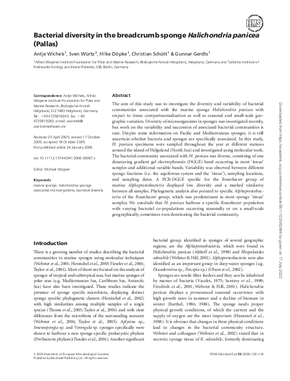 (PDF) Bacterial diversity in the breadcrumb sponge Halichondria panicea ...