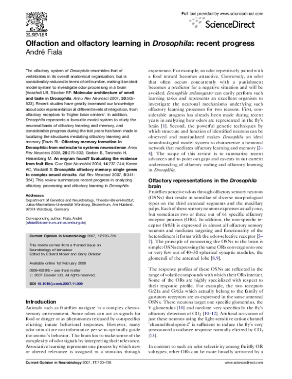 (PDF) Olfaction and olfactory learning in Drosophila: recent progress