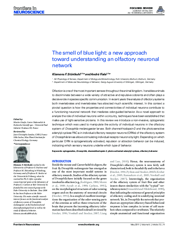 (PDF) The Smell of Blue Light: A New Approach toward Understanding an ...