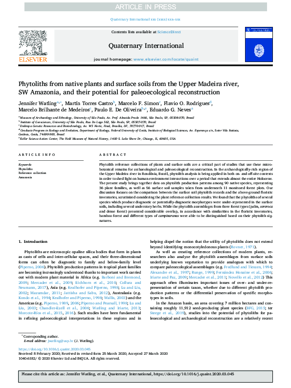 (PDF) Phytoliths from native plants and surface soils from the Upper ...