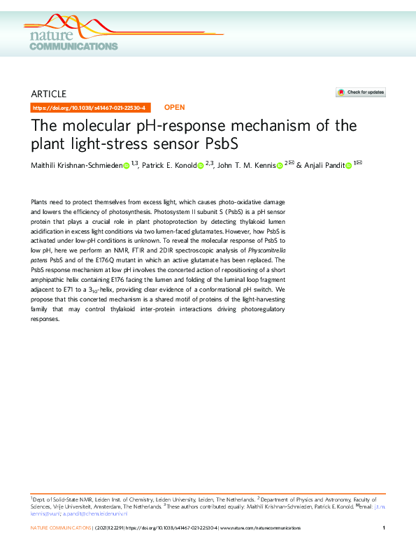 (PDF) The molecular pH-response mechanism of the plant light-stress ...