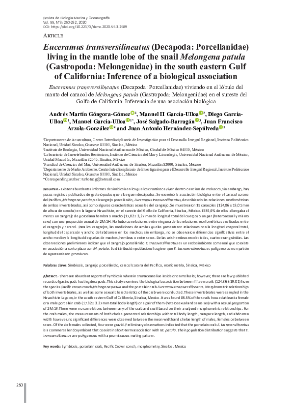 (PDF) Euceramus transversilineatus (Decapoda: Porcellanidae) living in ...