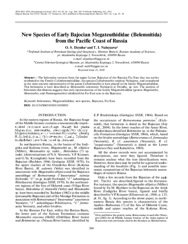 (PDF) New species of Early Bajocian Megateuthididae (Belemnitida) from ...