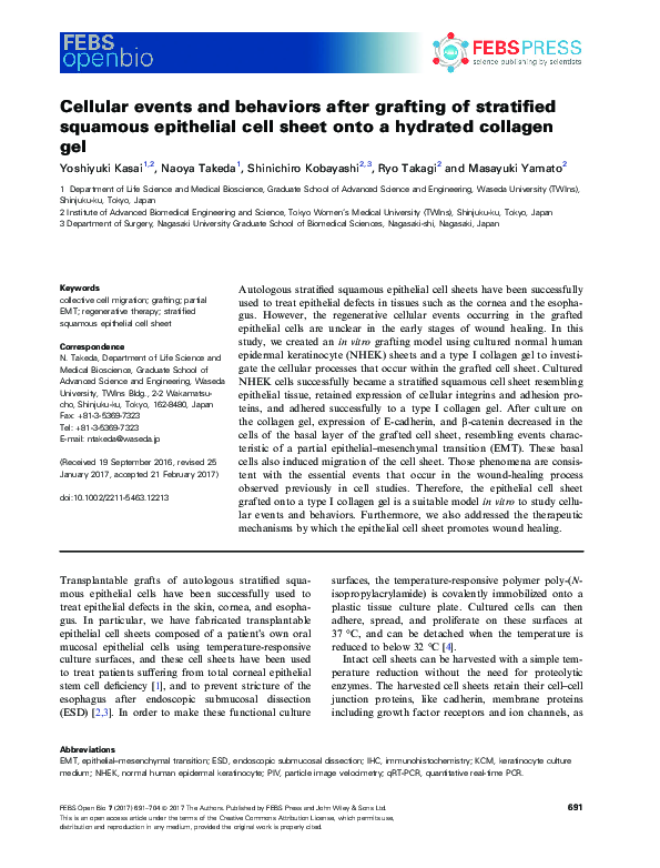 (PDF) Cellular events and behaviors after grafting of stratified ...