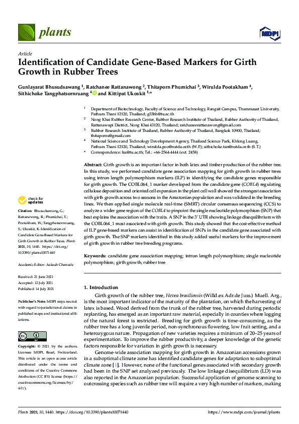 (PDF) Identification of Candidate Gene-Based Markers for Girth Growth in Rubber Trees