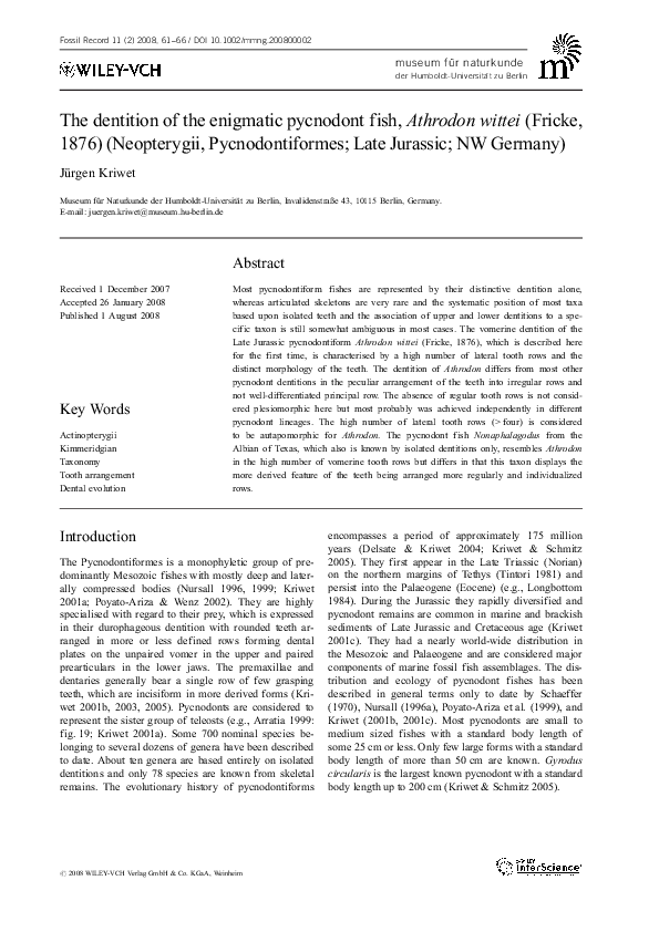 (PDF) The dentition of the enigmatic pycnodont fish, Athrodon wittei ...