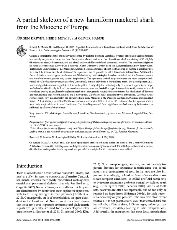 (PDF) A partial skeleton of a new mackerel shark (Chondrichthyes ...