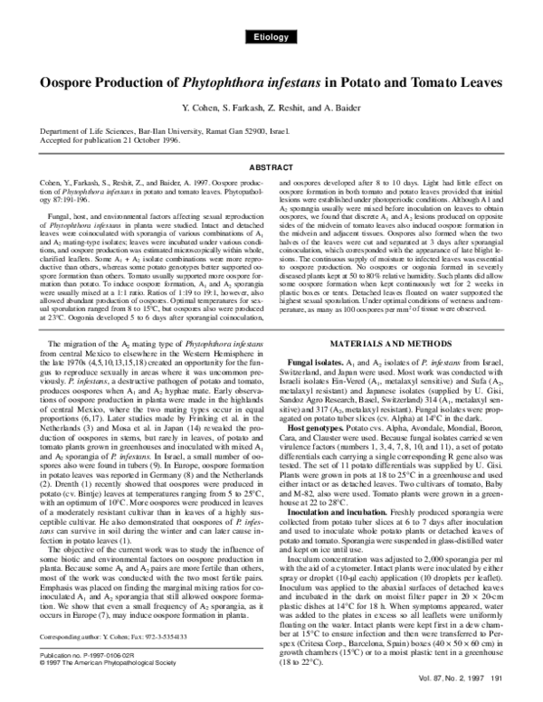 (PDF) Oospore Production of Phytophthora infestans in Potato and Tomato ...