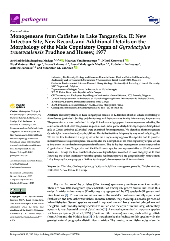 (PDF) Monogeneans from Catfishes in Lake Tanganyika. II: New Infection ...