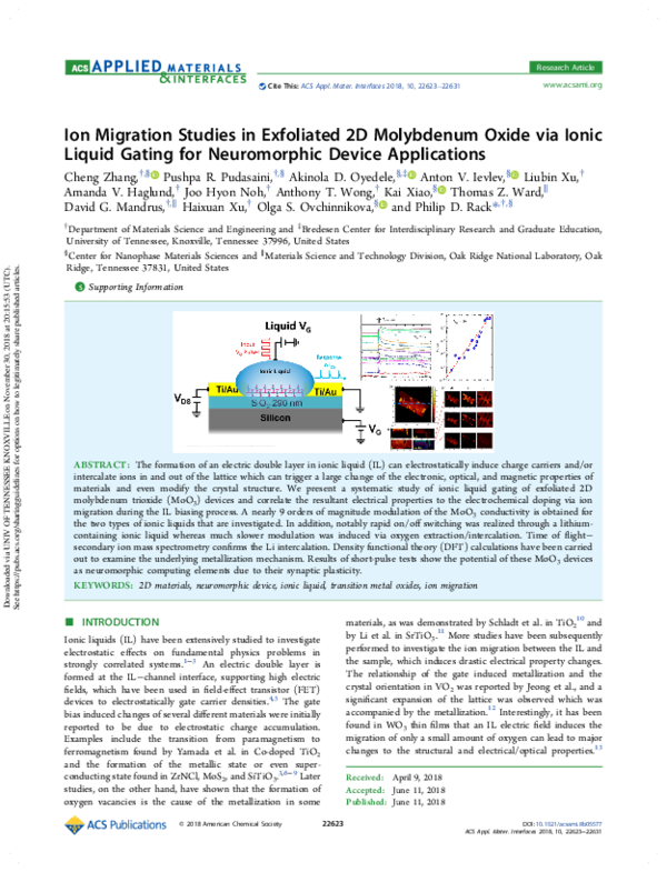 (PDF) Annealing and ionic liquid gating on suspended molybdenum disulfide devices | Petr ...