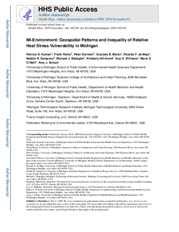 (PDF) MI-Environment: Geospatial patterns and inequality of relative ...