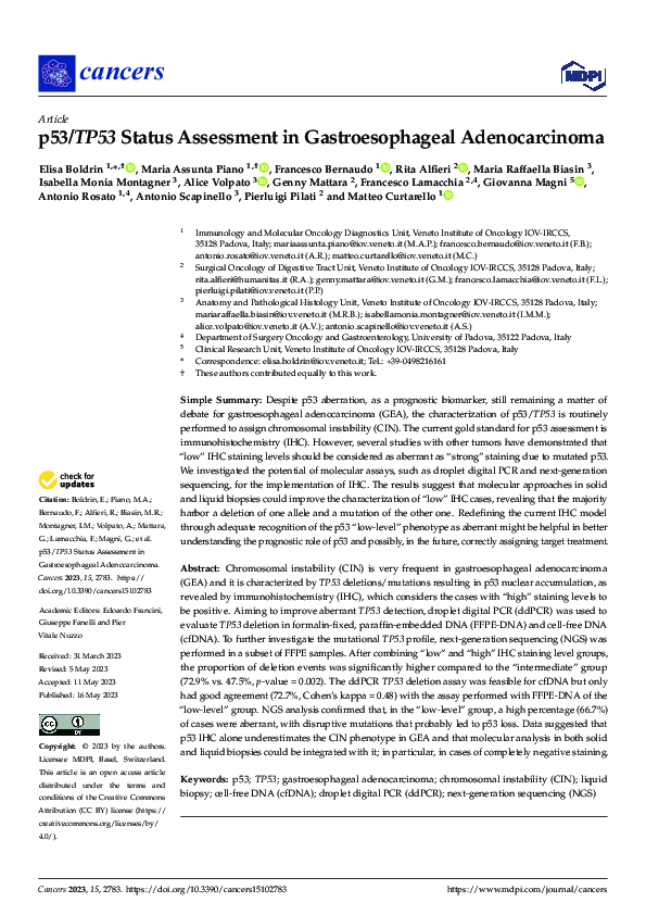 (PDF) p53/TP53 Status Assessment in Gastroesophageal Adenocarcinoma