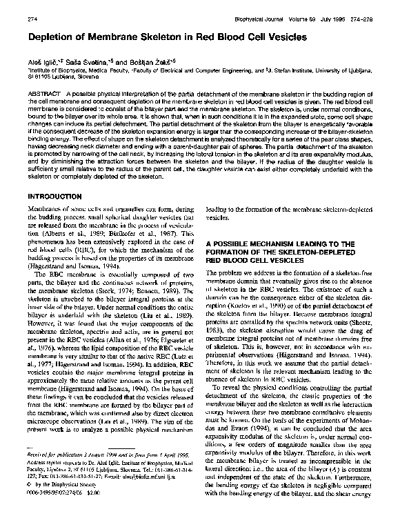 (PDF) Depletion of membrane skeleton in red blood cell vesicles