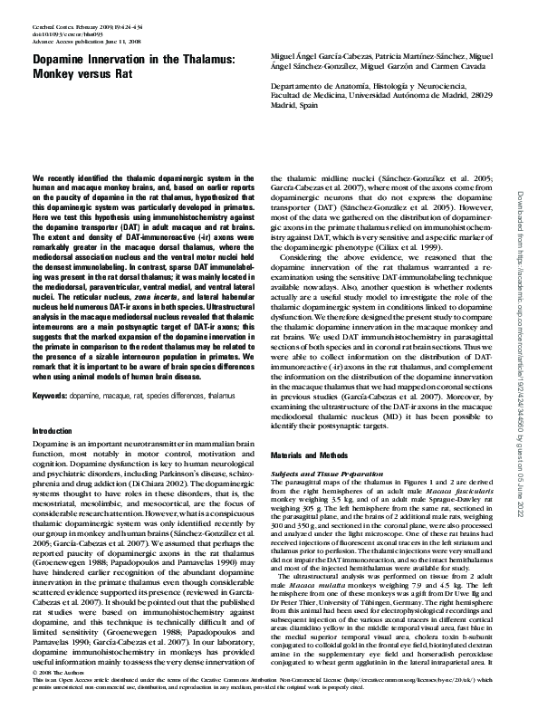 (PDF) Dopamine Innervation in the Thalamus: Monkey versus Rat