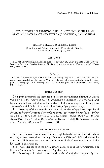 (PDF) Metacyclops Geltrudeae N. Sp., a New Cyclopid From Ground Waters ...