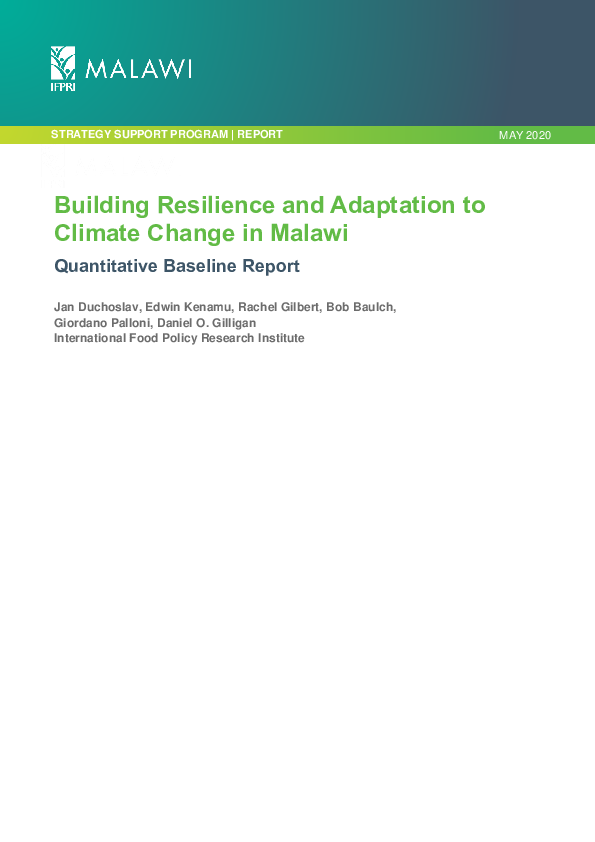(PDF) Building resilience and adaptation to climate change in Malawi: Quantitative baseline ...