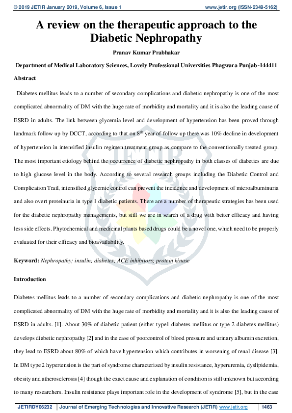 (PDF) A review on the therapeutic approach to the Diabetic Nephropathy
