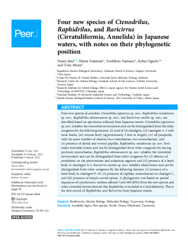 (PDF) Four new species of Ctenodrilus, Raphidrilus, and Raricirrus ...