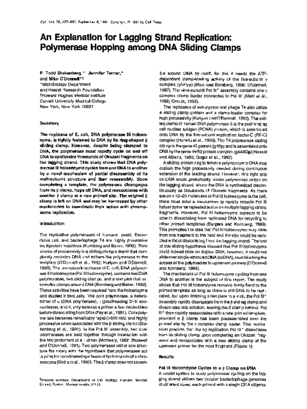 Pdf An Explanation For Lagging Strand Replication Polymerase Hopping 6994
