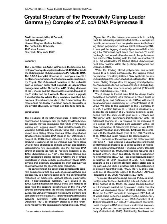 (PDF) Crystal Structure of the Processivity Clamp Loader Gamma (γ ...