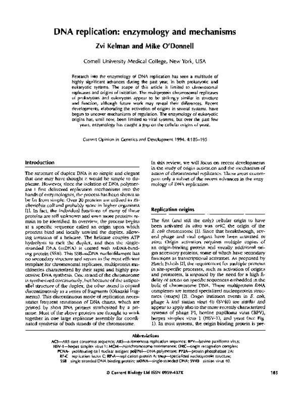 (PDF) DNA replication: enzymology and mechanisms