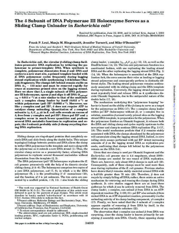(PDF) The δ Subunit of DNA Polymerase III Holoenzyme Serves as a ...