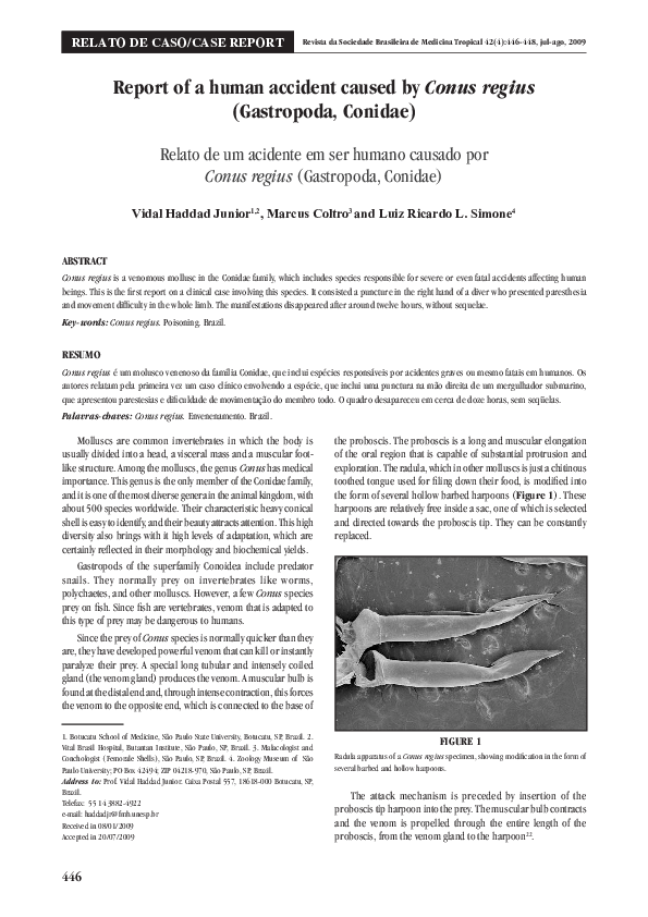 (PDF) Report of a human accident caused by Conus regius (Gastropoda ...