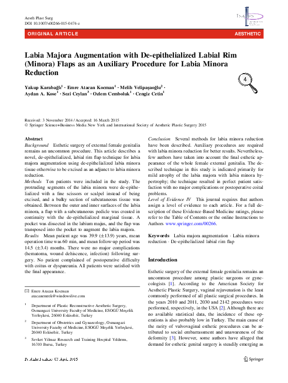 (PDF) Labia Majora Augmentation with De-epithelialized Labial Rim ...