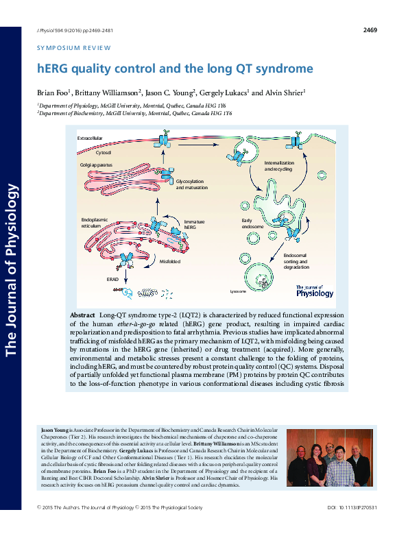(PDF) hERG quality control and the long QT syndrome