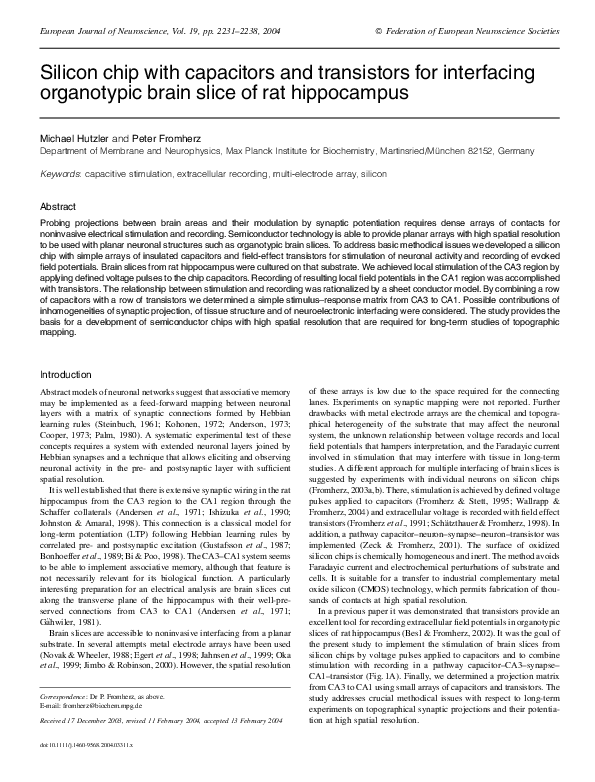 (PDF) Silicon chip with capacitors and transistors for interfacing ...