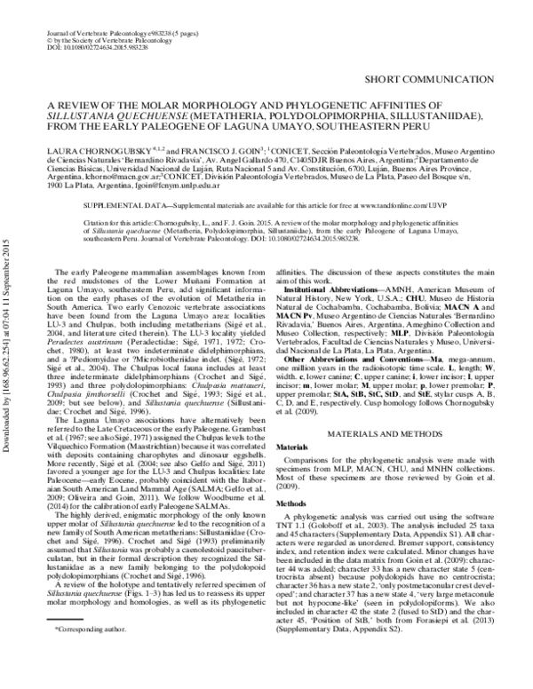 (PDF) A review of the molar morphology and phylogenetic affinities ...