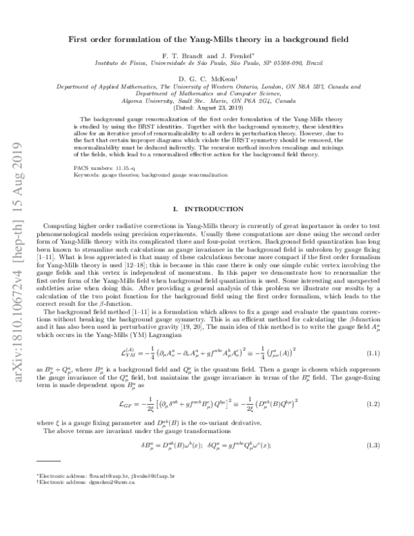 (PDF) First order formulation of the Yang–Mills theory in a background field