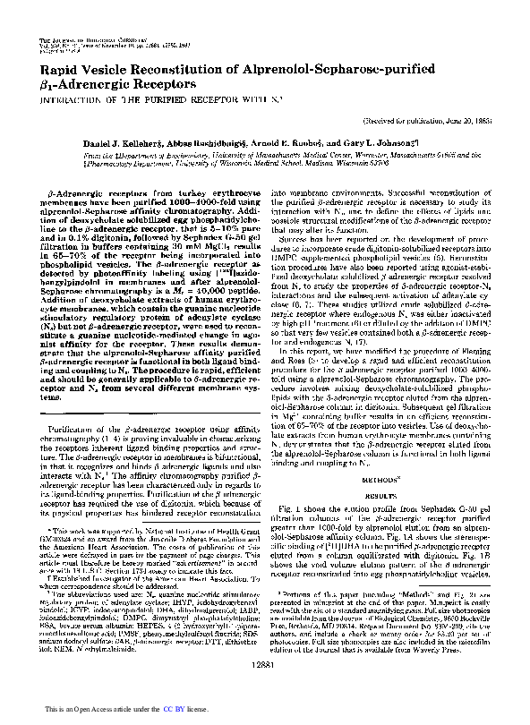 (PDF) Rapid vesicle reconstitution of alprenolol-Sepharose-purified ...