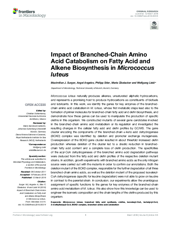 (PDF) Impact of Branched-Chain Amino Acid Catabolism on Fatty Acid and Alkene Biosynthesis in ...