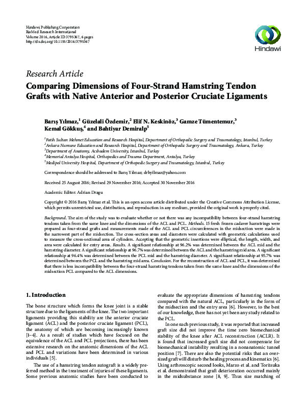 (PDF) Comparing Dimensions of Four-Strand Hamstring Tendon Grafts with ...
