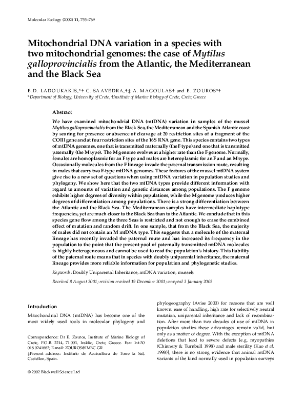 (PDF) Mitochondrial DNA variation in a species with two mitochondrial ...