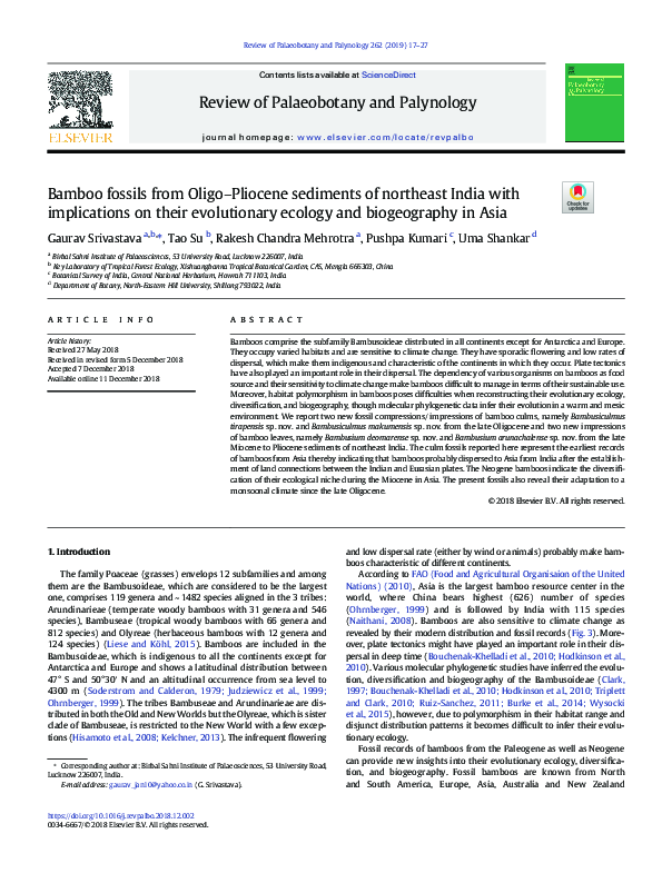 (PDF) Bamboo fossils from Oligo–Pliocene sediments of northeast India ...