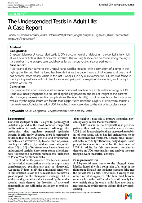 (PDF) The Undescended Testis in Adult Life: A Case Report